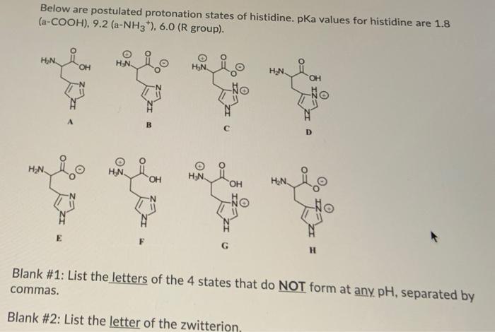 Solved Below are postulated protonation states of histidine. | Chegg.com