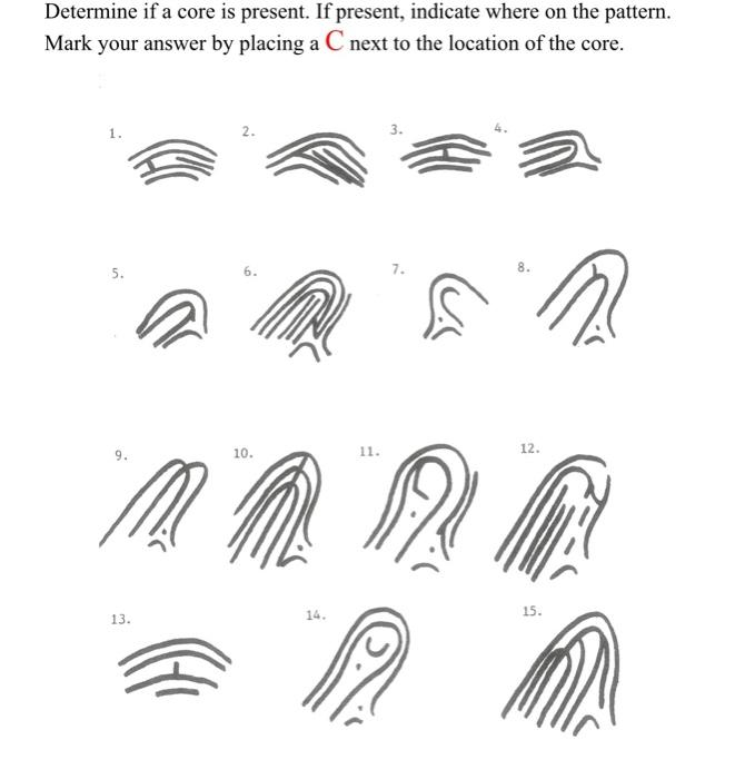 Solved Determine if a core is present. If present, indicate | Chegg.com