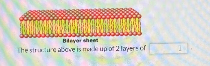 Solved Bilayer sheet The structure above is made up of 2 | Chegg.com