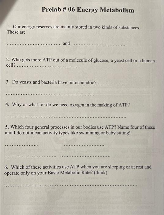 Solved Prelab #06 Energy Metabolism 1. Our energy reserves | Chegg.com