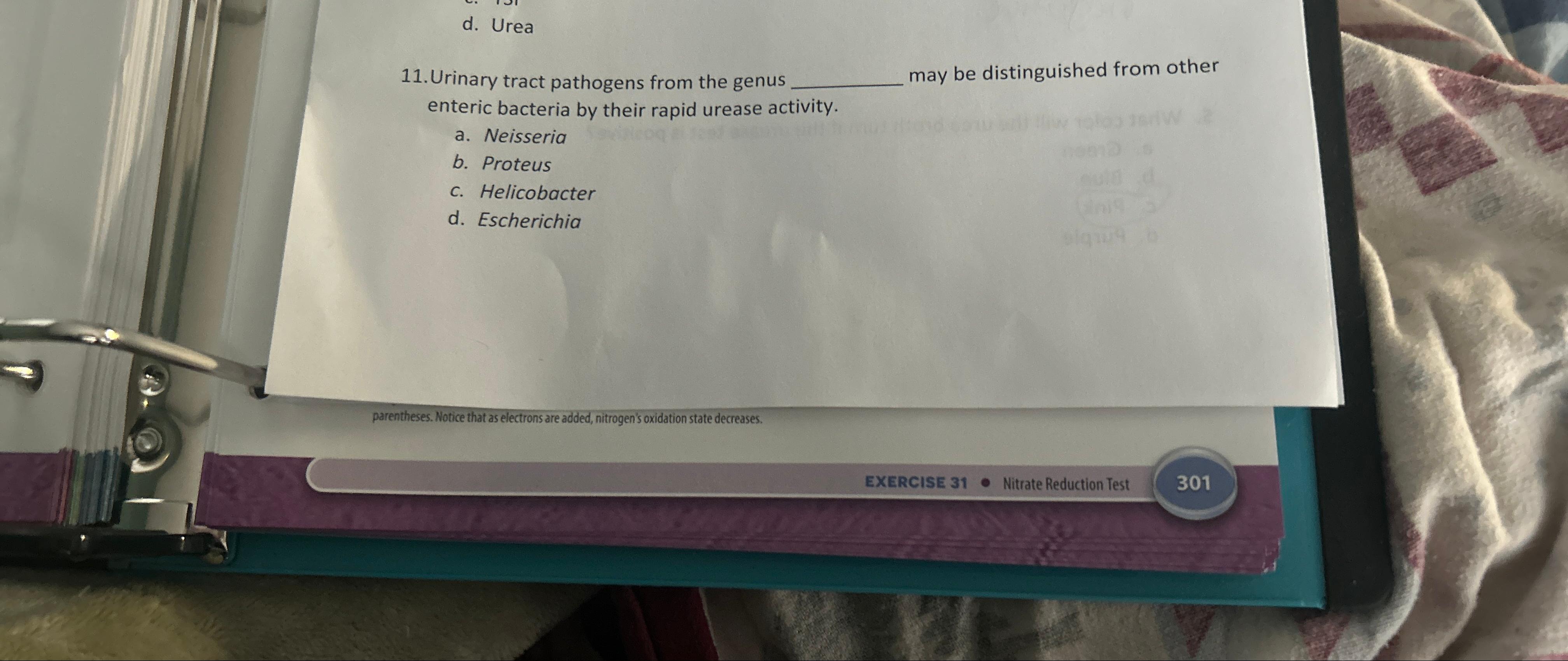 Solved 11. ﻿Urinary tract pathogens from the genus may be | Chegg.com