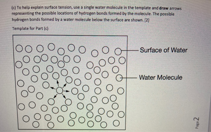 Solved (c) To help explain surface tension, use a single | Chegg.com