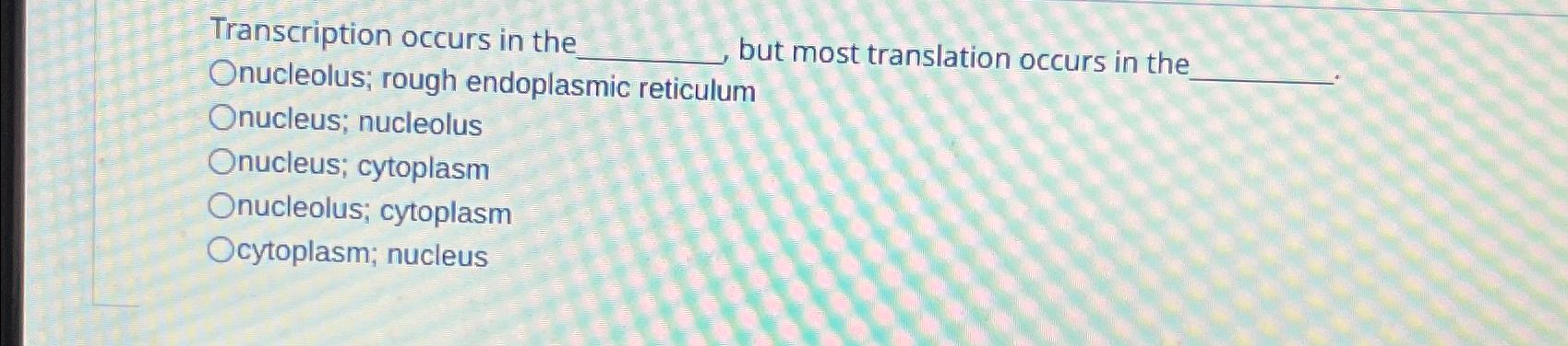 Solved Transcription occurs in the but most translation | Chegg.com