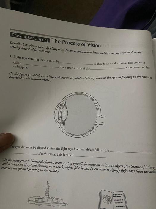 Solved Drawing Conclusions The Process of Vision Describe | Chegg.com