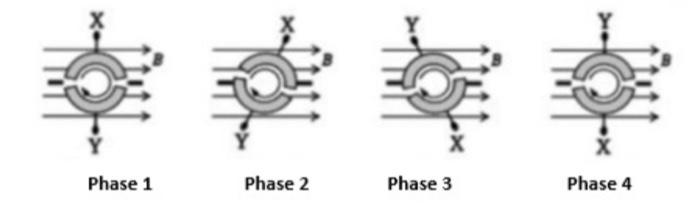 Solved The figures below show the phases of a half-cycle of | Chegg.com
