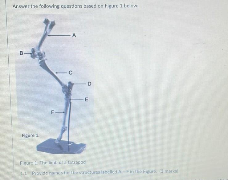 Solved Answer the following questions based on Figure 1 | Chegg.com