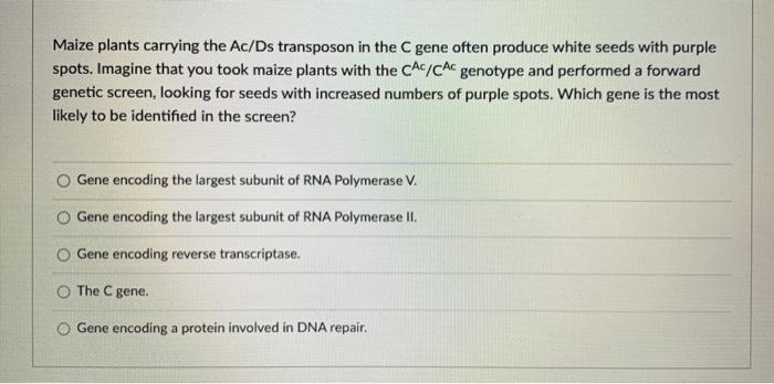 Solved Maize plants carrying the Ac/Ds transposon in the | Chegg.com