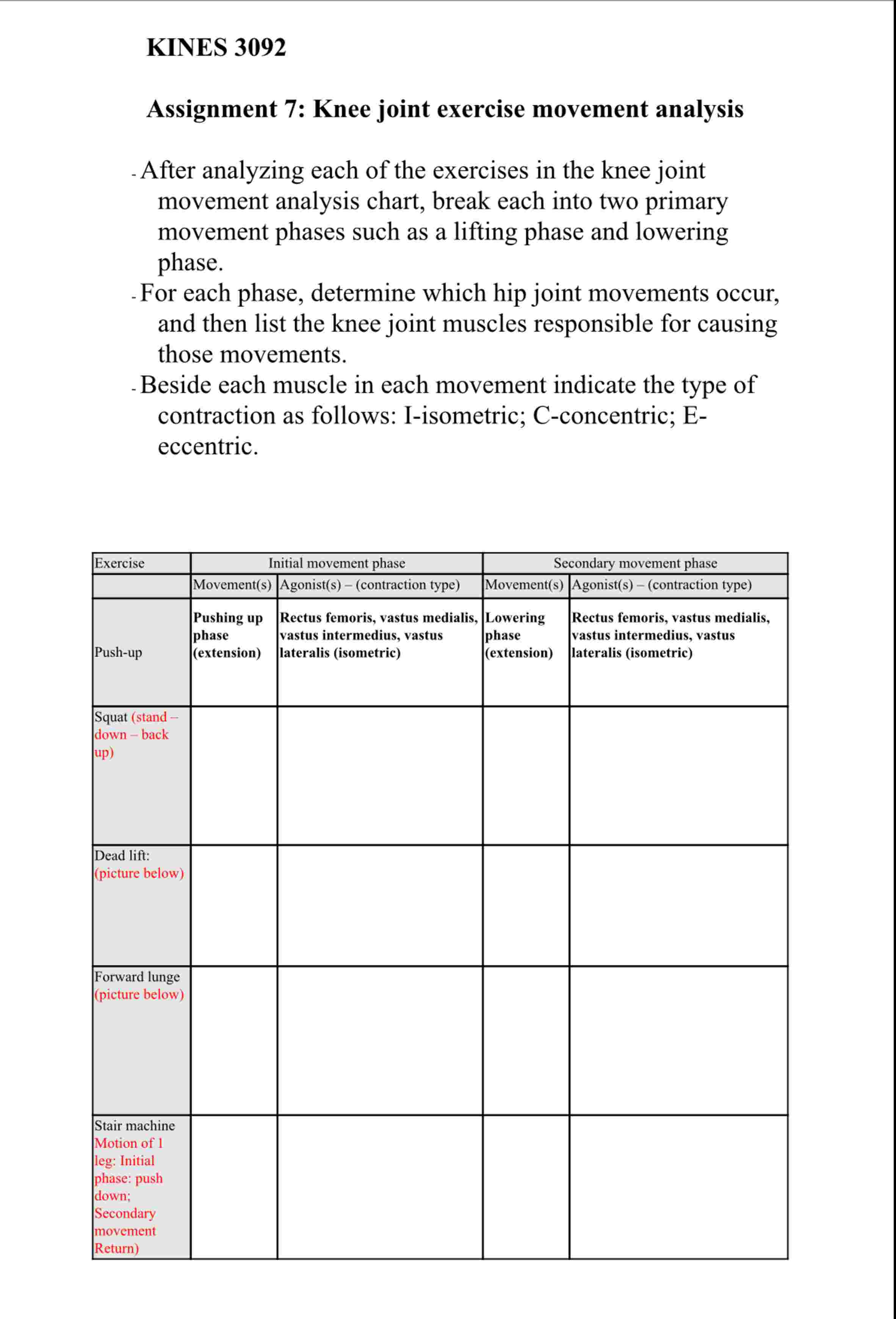 Solved KINES 3092 ﻿Assignment 7: Knee joint exercise | Chegg.com