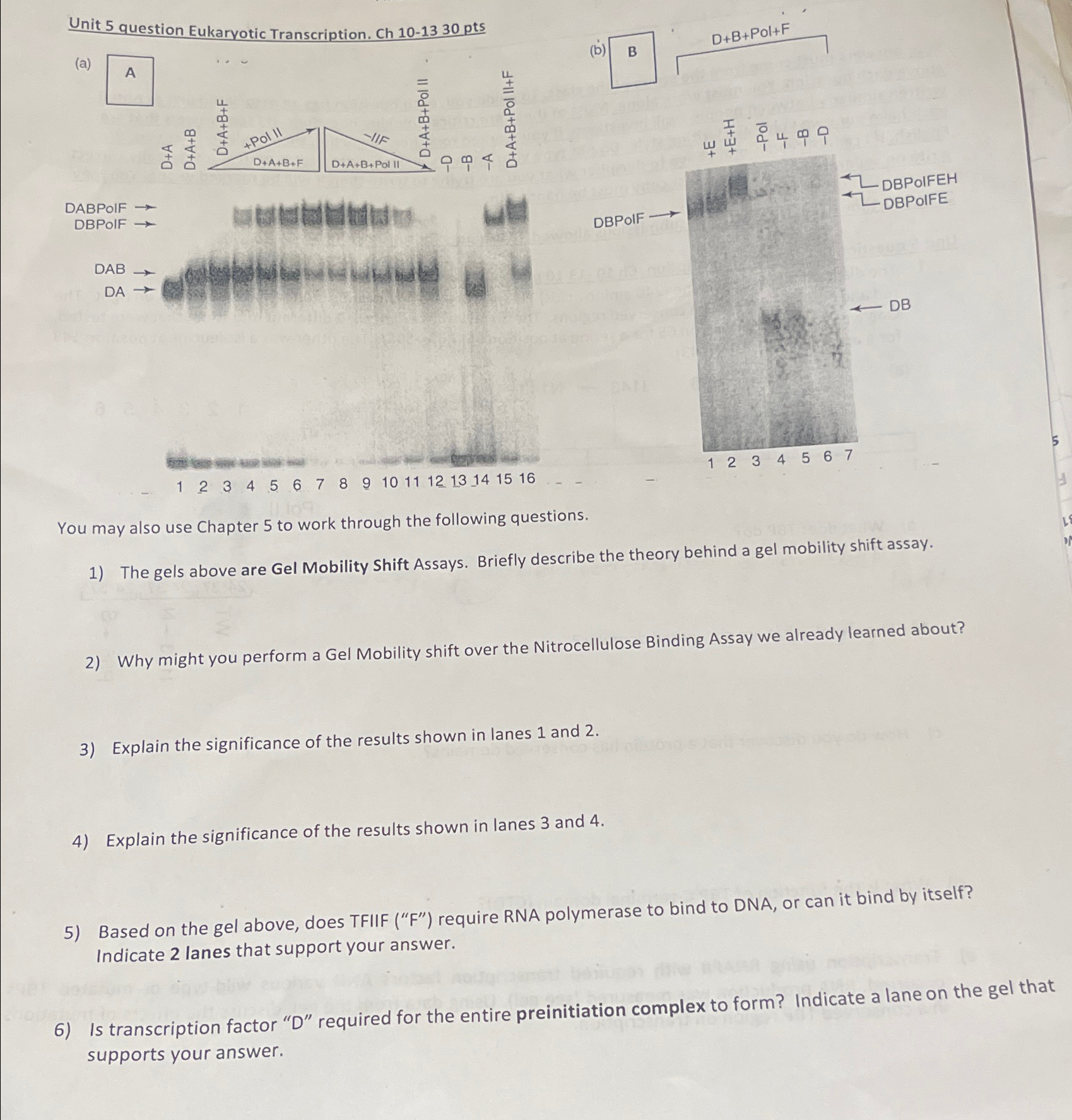 Solved Unit 5 ﻿question Eukaryotic Transcription. Ch | Chegg.com