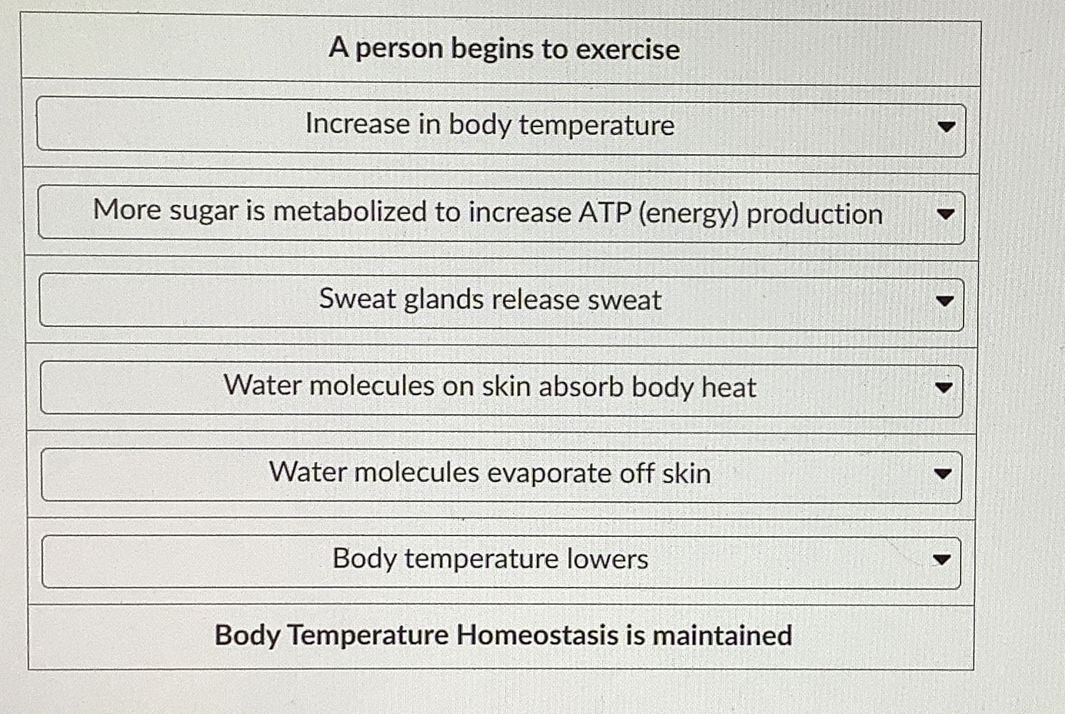 Solved A person begins to exerciseIncrease in body | Chegg.com