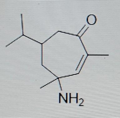Solved CHN ( O | Chegg.com