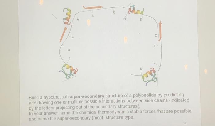 Solved Build a hypothetical super-secondary structure of a | Chegg.com