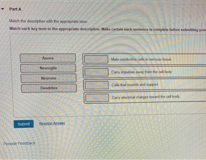 Solved Part A Match the description with the appropriate | Chegg.com