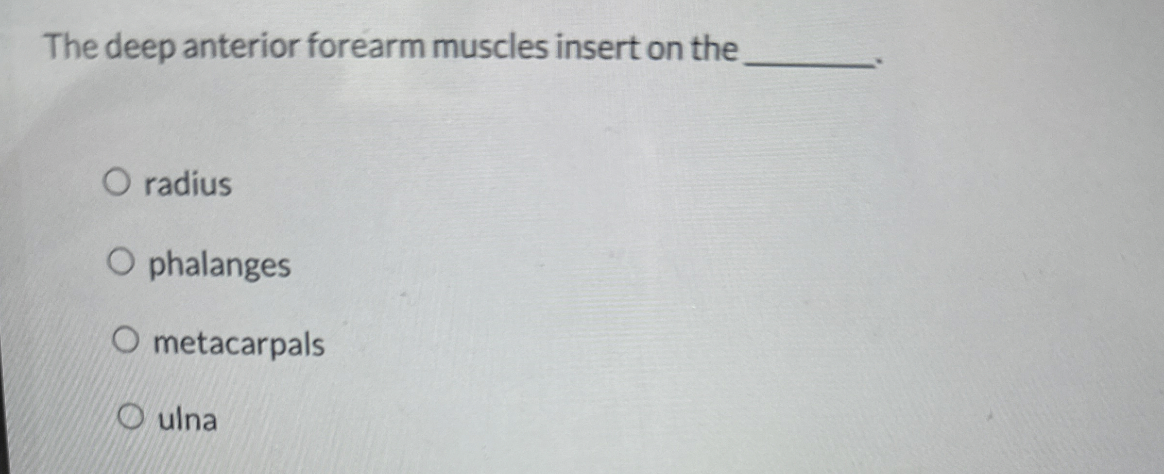 Solved The deep anterior forearm muscles insert on | Chegg.com