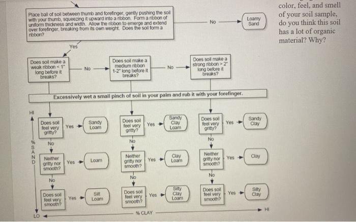 Solved Soil Texture: Texture by Feel Soil texture is the | Chegg.com