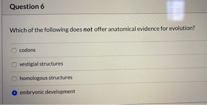 Solved Question 6 Which of the following does not offer | Chegg.com