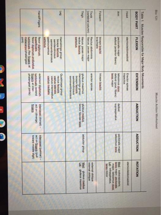 Solved Bio 121 Muscle Action Worksheet Table 1. Muscles | Chegg.com