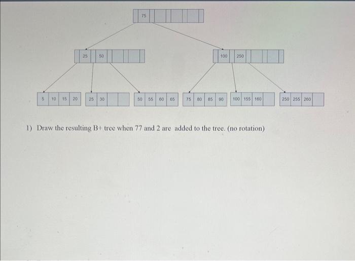 Solved 1) Draw the resulting B+ tree when 77 and 2 are added | Chegg.com