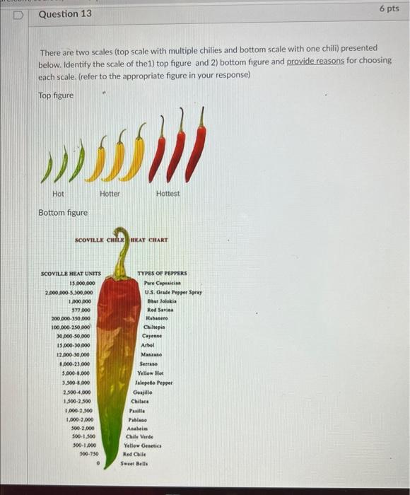 Solved There are two scales (top scale with multiple chilies | Chegg.com