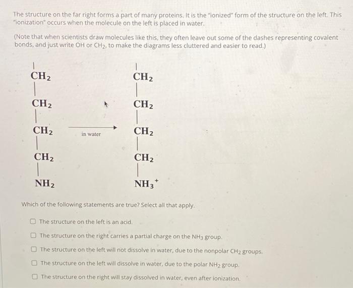 Solved The structure on the far right forms a part of many | Chegg.com