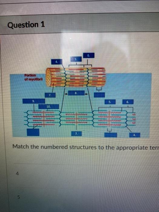Solved Match the numbered structures to the appropriate | Chegg.com