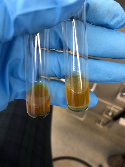 Solved I performed the chromic acid test on 5 unknown | Chegg.com