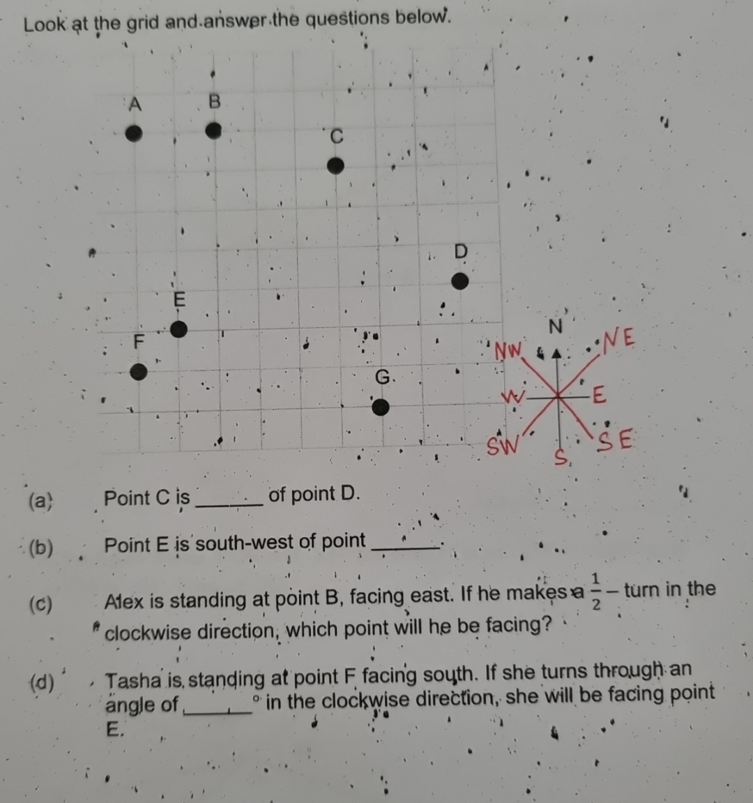 Solved Look at the grid and answer the questions below.(a) | Chegg.com