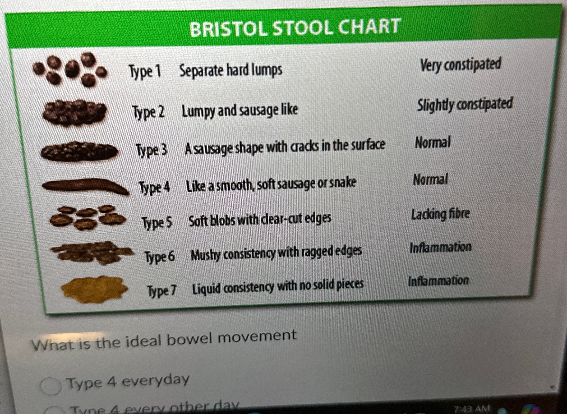 Solved BRISTOL STOOL CHART\table[[Type 1,Separate hard | Chegg.com