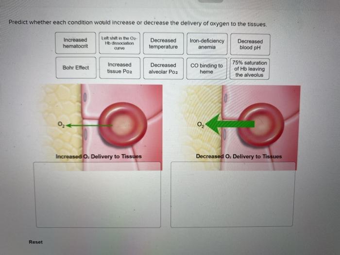 Solved Predict whether each condition would increase or | Chegg.com