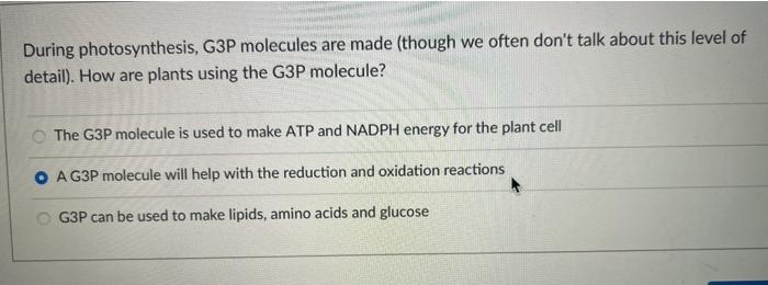 Solved During photosynthesis, G3P molecules are made (though | Chegg.com