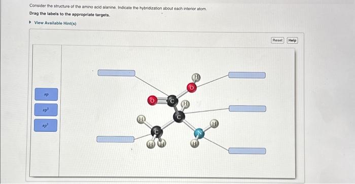 Solved Consider the structure of the amino acid alanine. | Chegg.com
