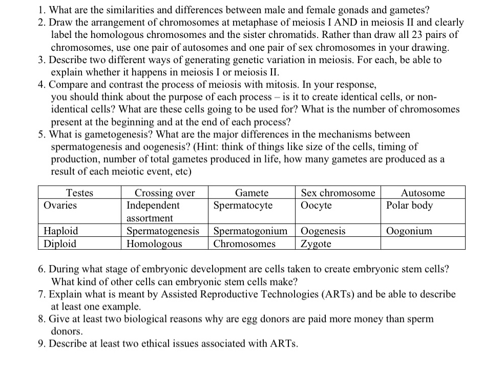 Solved What are the similarities and differences between | Chegg.com