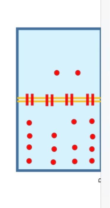 Solved The diagram below displays a concentration gradient | Chegg.com