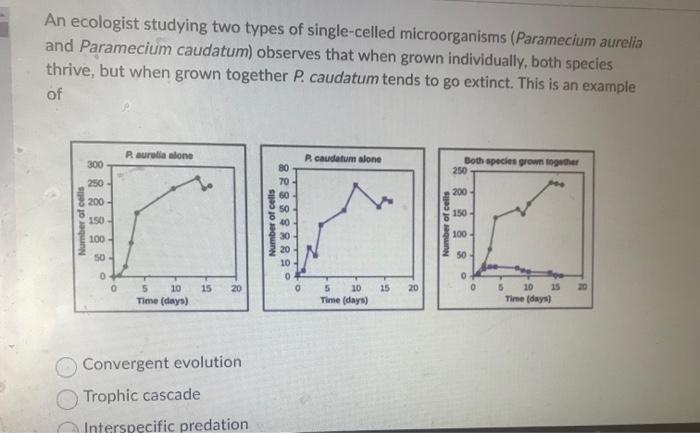Solved Convergent evolution Trophic cascade Interspecific | Chegg.com