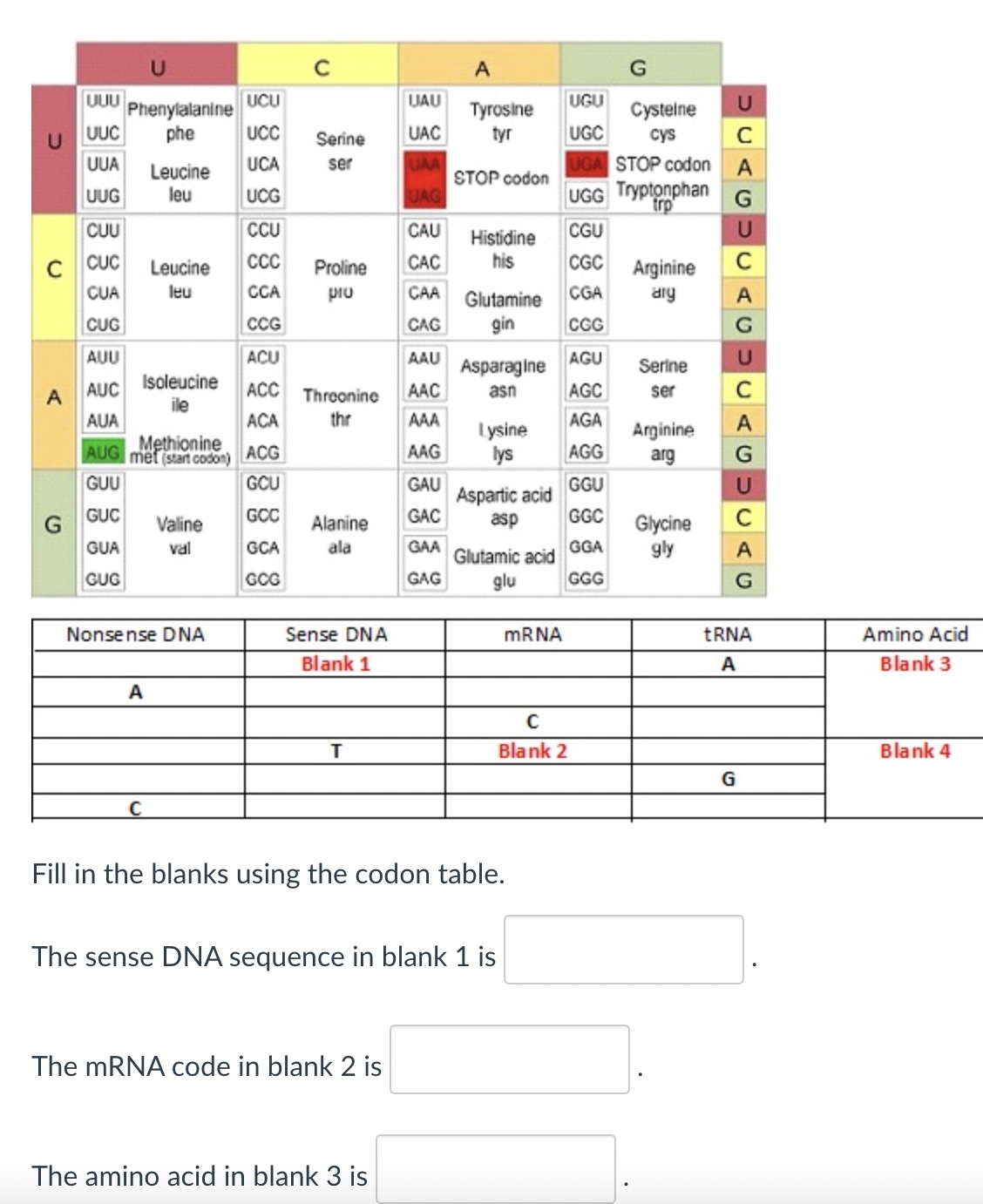 Solved Fill in the blanks using the codon table.The sense | Chegg.com