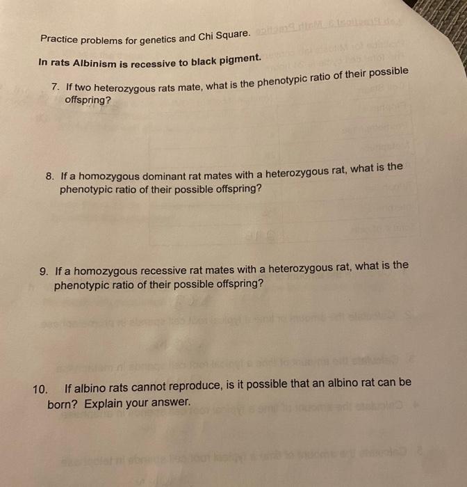 Solved 8. If a homozygous dominant rat mates with a | Chegg.com