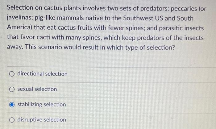 Solved Selection on cactus plants involves two sets of | Chegg.com