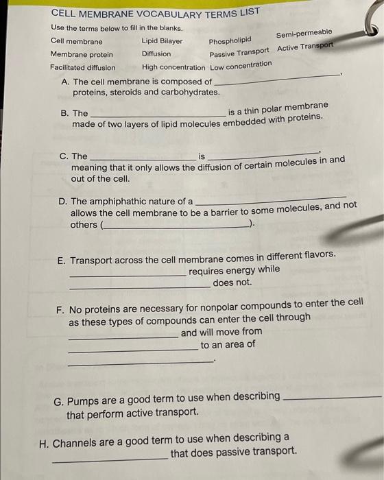 Solved CELL MEMBRANE VOCABULARY TERMS LIST Use the terms | Chegg.com