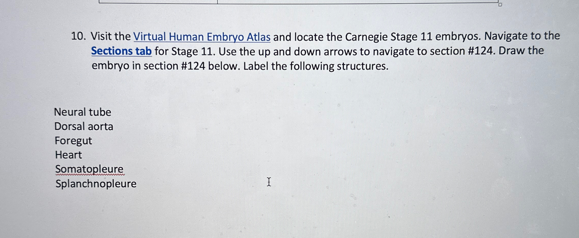 Solved Visit the Virtual Human Embryo Atlas and locate the | Chegg.com