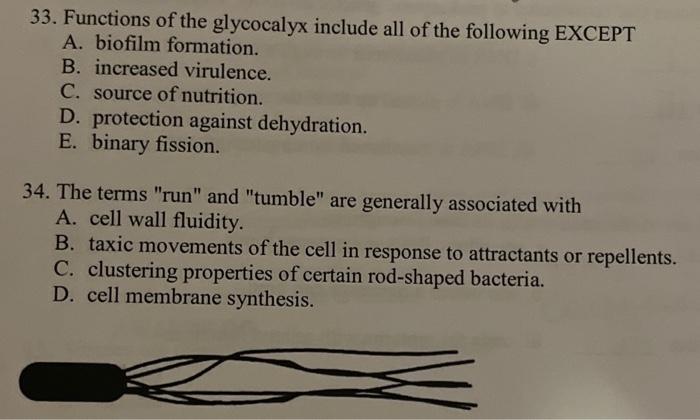 Solved 33. Functions of the glycocalyx include all of the | Chegg.com