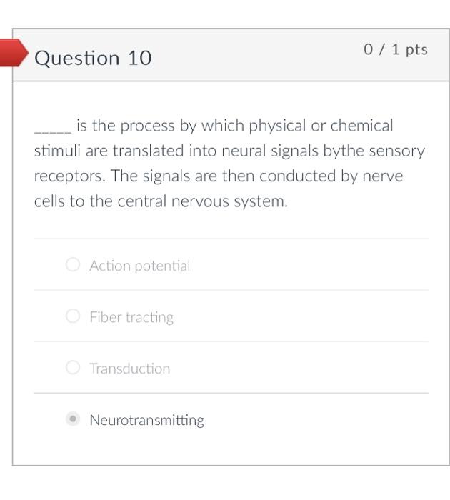 Solved is the process by which physical or chemical stimuli | Chegg.com