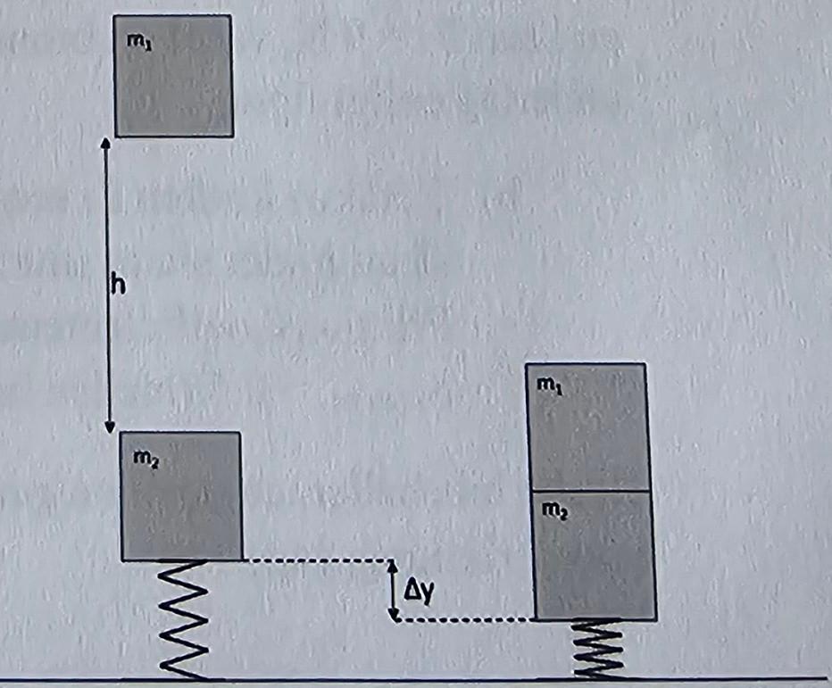 Solved A box of mass m2 = 1.0 kg rests still on a Hook | Chegg.com