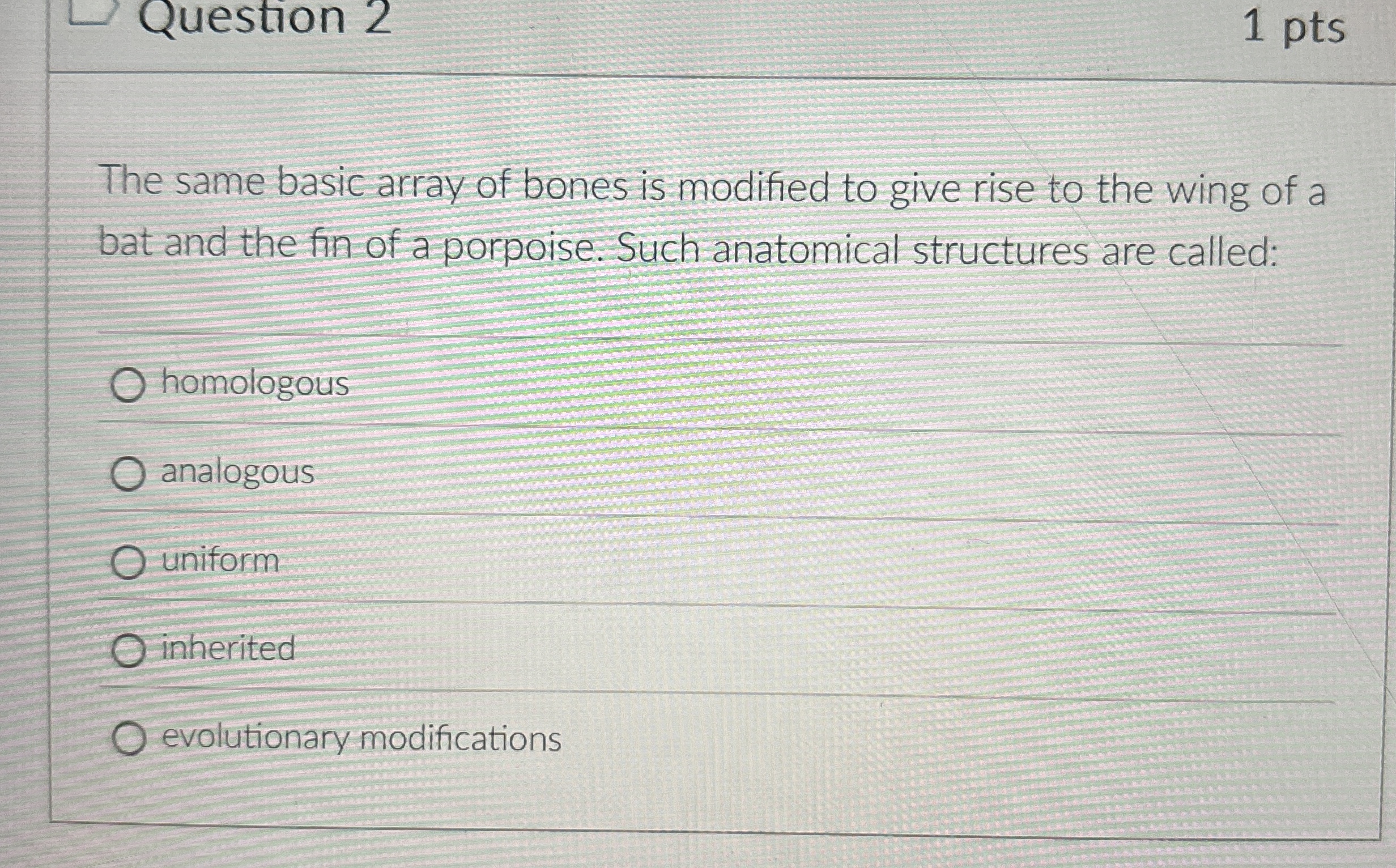 Question 21 ﻿ptsThe same basic array of bones is | Chegg.com