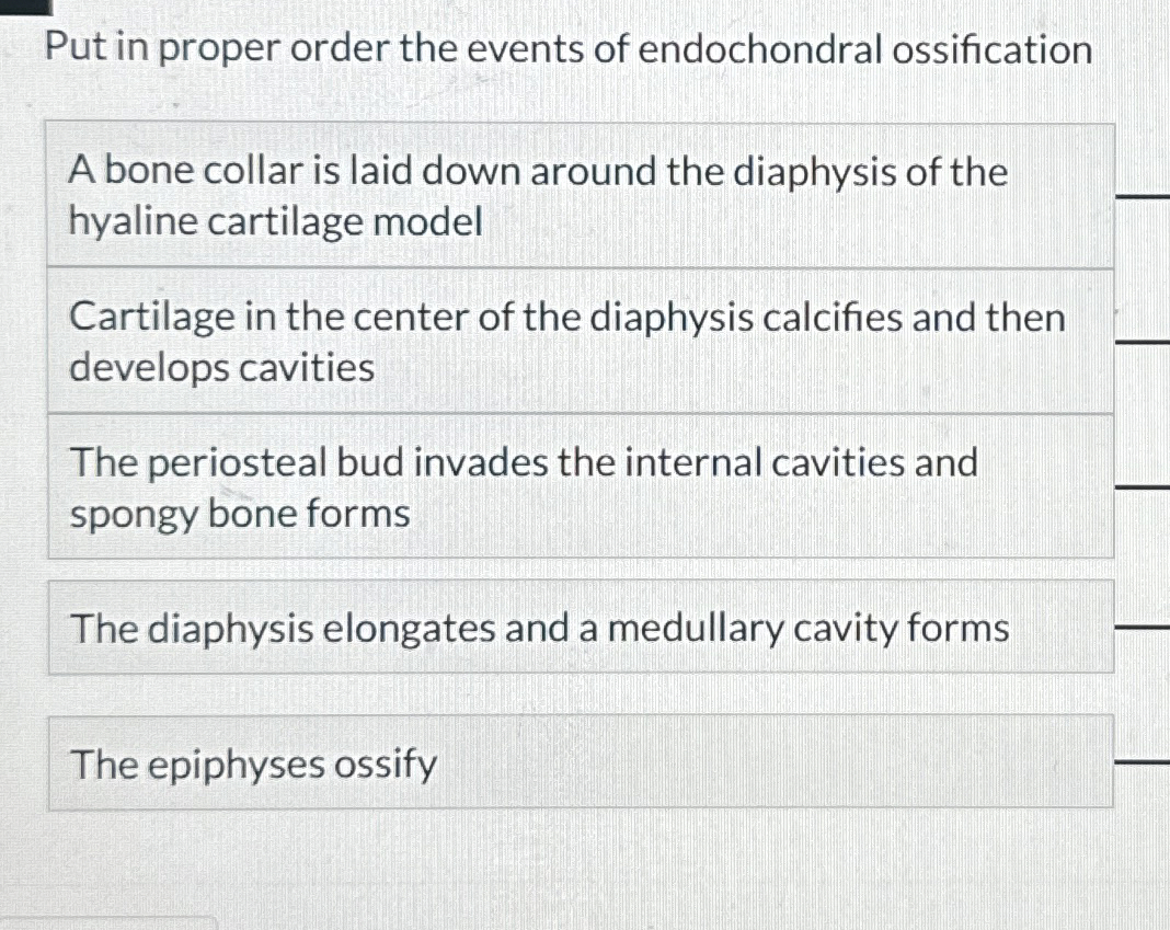 Solved Put in proper order the events of endochondral | Chegg.com