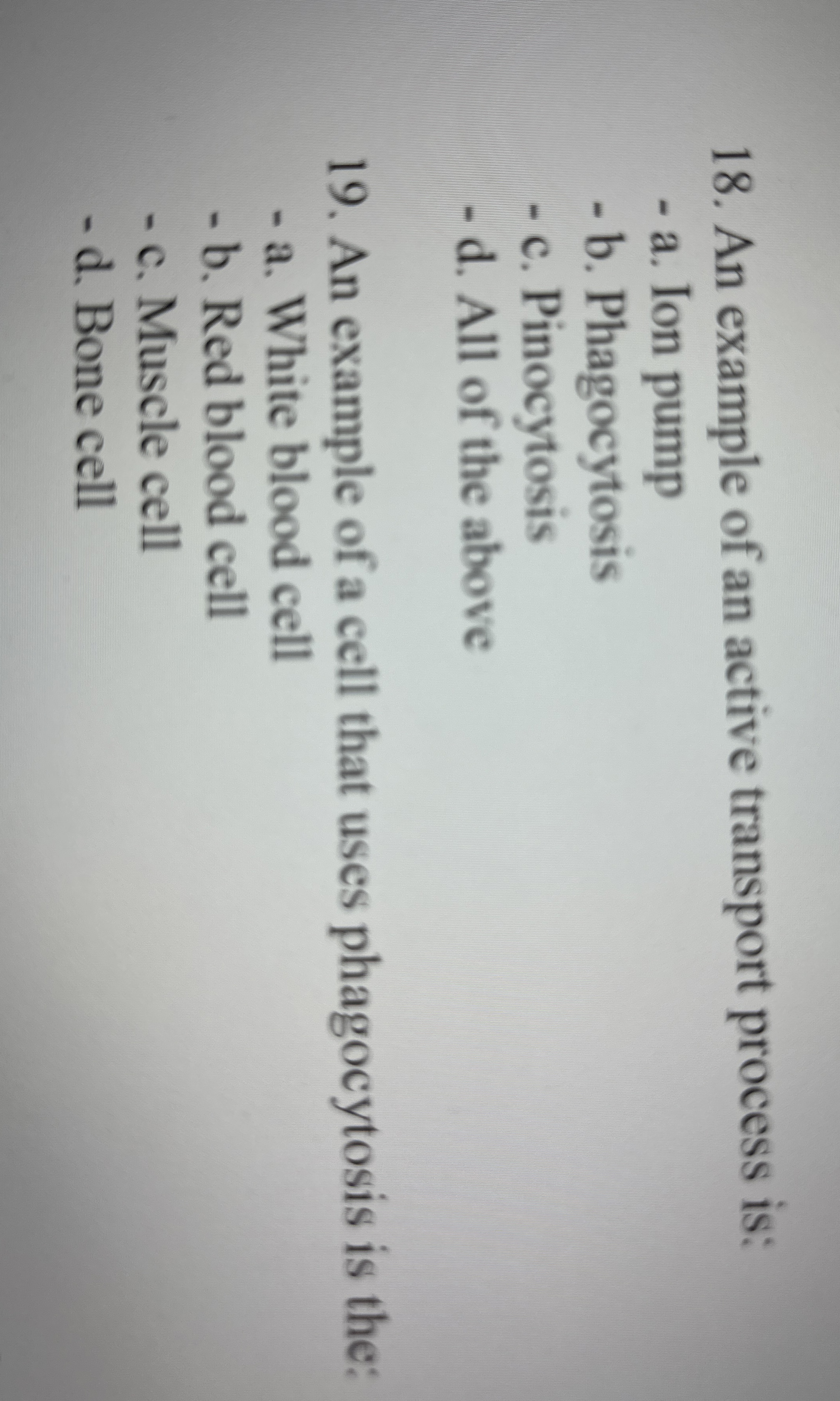 Solved An example of an active transport process is:a. ﻿Ion | Chegg.com