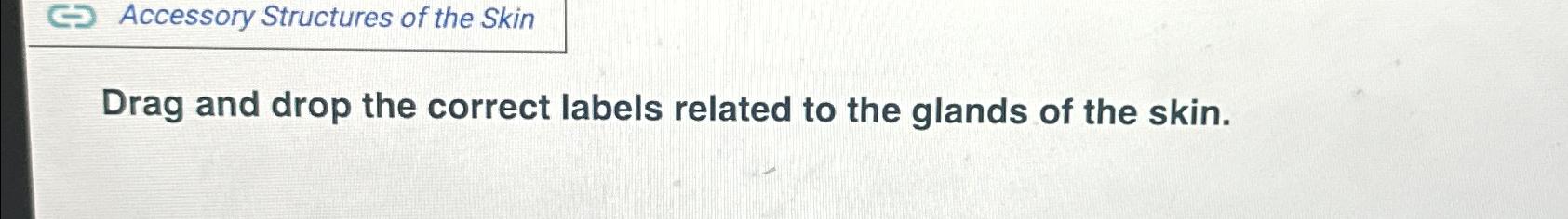 Solved Accessory Structures of the SkinDrag and drop the | Chegg.com