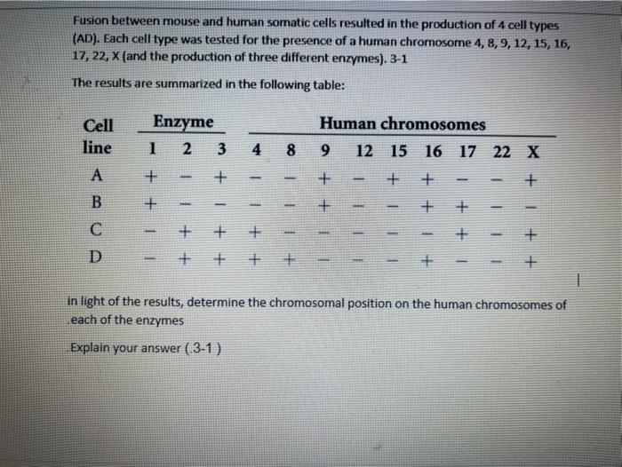 Solved Fusion between mouse and human somatic cells resulted | Chegg.com