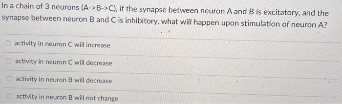Solved In a chain of 3 neurons (A>B>C), if the synapse | Chegg.com