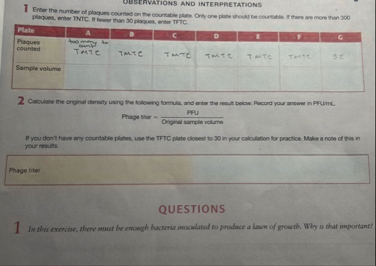 Solved OBSERVATIONS AND INTERPRETATIONS1 ﻿Enter the number | Chegg.com