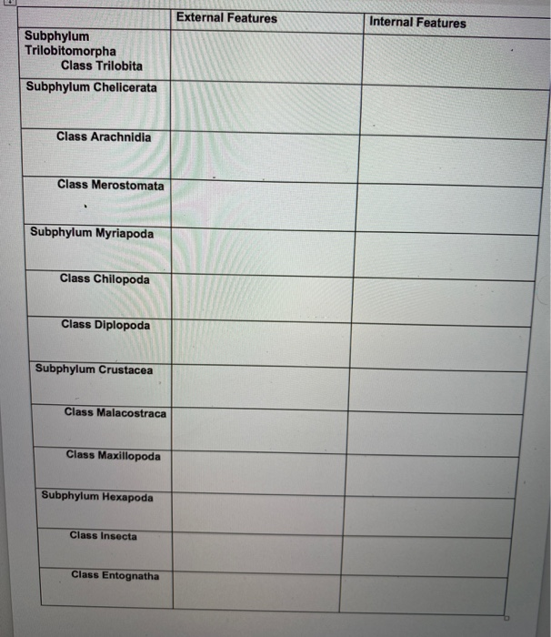 Solved External Features Internal Features Subphylum | Chegg.com